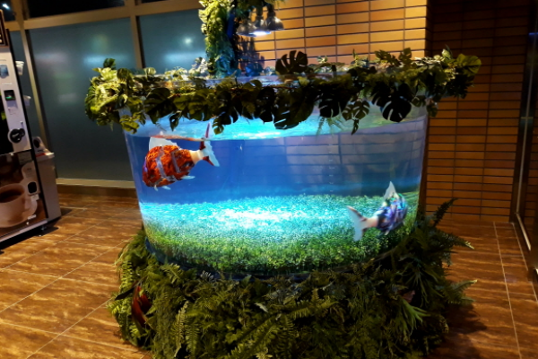 AIRO, Pioneers in the Aquarium Robot Fish Market